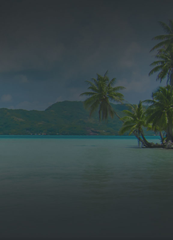 AARP Travel Insurance